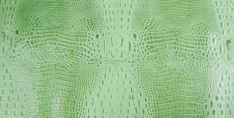 Bright Green Embossed Gator Leather Texture Stock Image - Image of ...