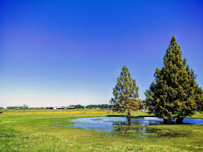 Bright Green Field Vs Blue Sky Stock Image - Image of prairie, cloud ...