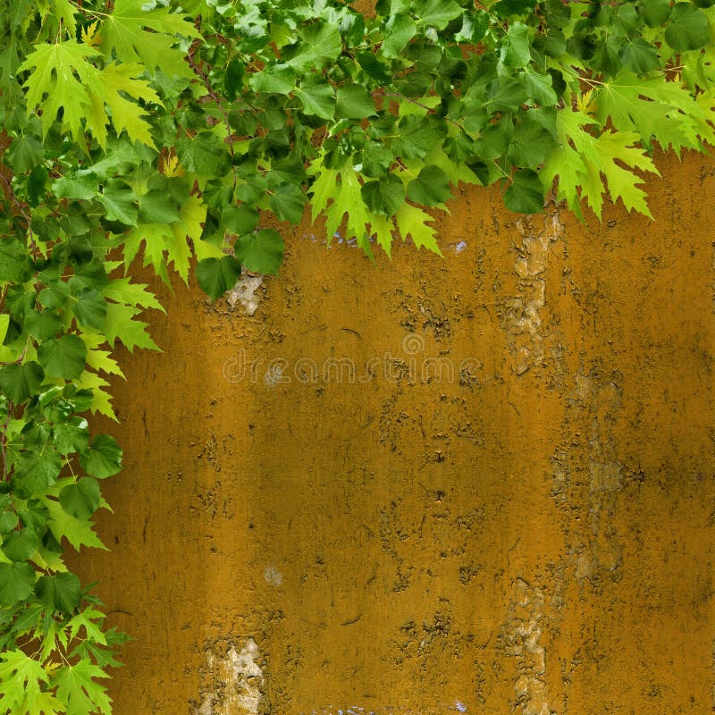 Bright Green Foliage on Background of Rusty Wall Stock Photo - Image of ...