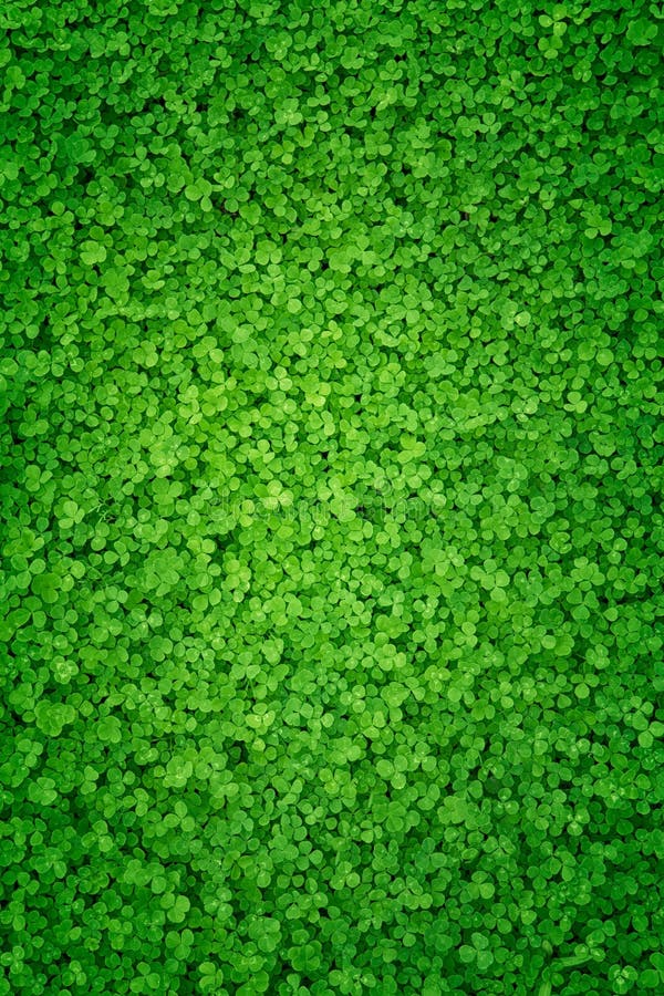 Green Irish Wild Grass Field Background in Summer Season Ireland ...