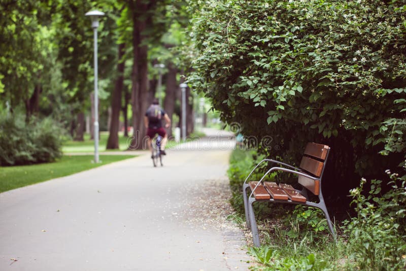 Bright Green Park, Bench by the Tree. Walking Place Stock Photo - Image ...