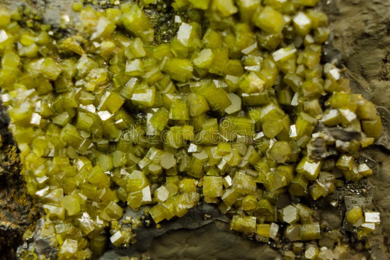 Bright Green Pyromorphite Mineral Crystals Stock Photo - Image of ...