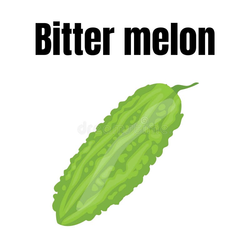 A Bright Green, Bitter Melon Green Vegetable Isolated on White ...