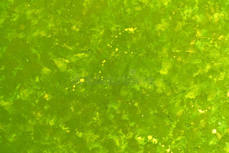 Bright Green Texture with Color Transition for the Background. Stock ...