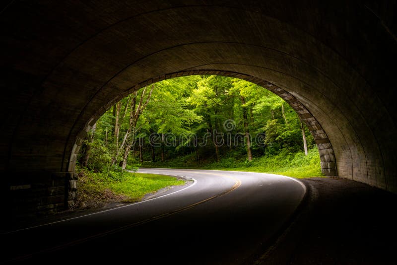 Bright Green Trees Crowd Around the Tunnel Exit at the Loop on 441 in ...