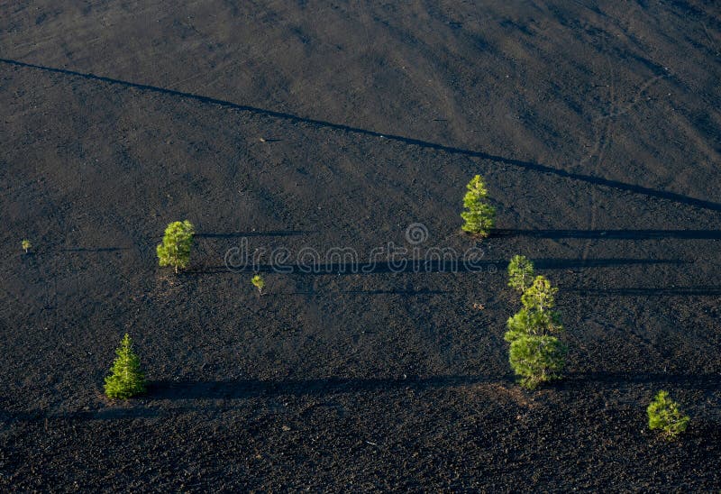 Bright Green Trees Dot the Side of Cinder Cone in Lassen Stock Image ...