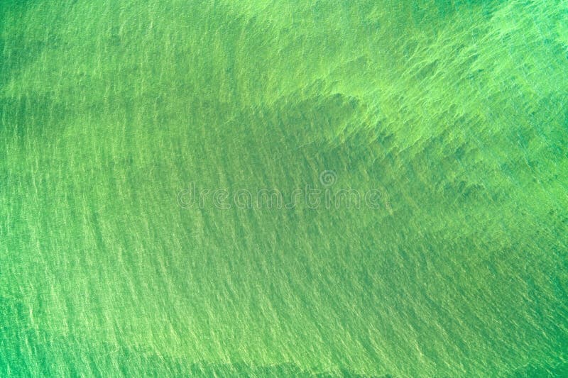 Bright Green Water with Water Plants Aerial Top View Stock Photo ...