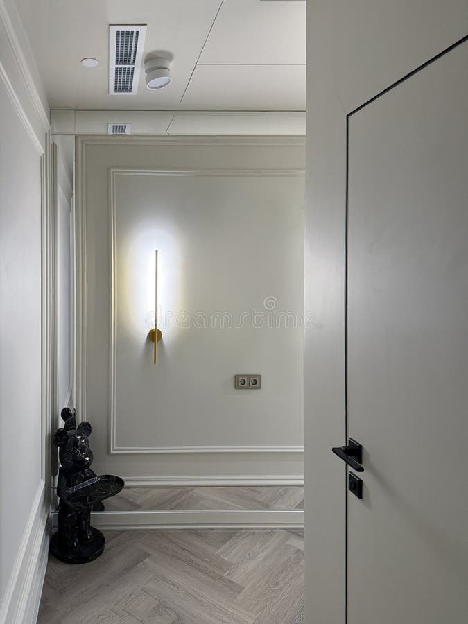 Bright Hallway Features Sleek Doors and Subtle Decorative Wall Elements ...