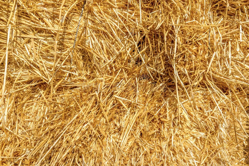 Bright hay background stock photo. Image of haystack - 168461898