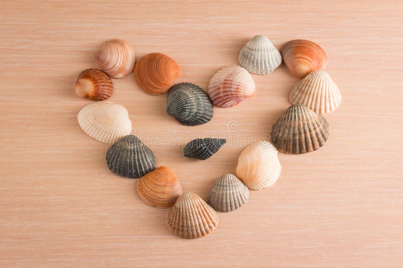 Bright Heart from Sea Shells Stock Photo - Image of concept, shells ...