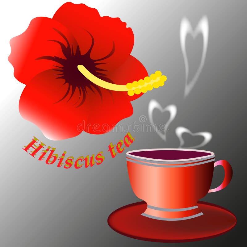 Bright Hibiscus Flower and a Cup of Tea Stock Vector - Illustration of ...