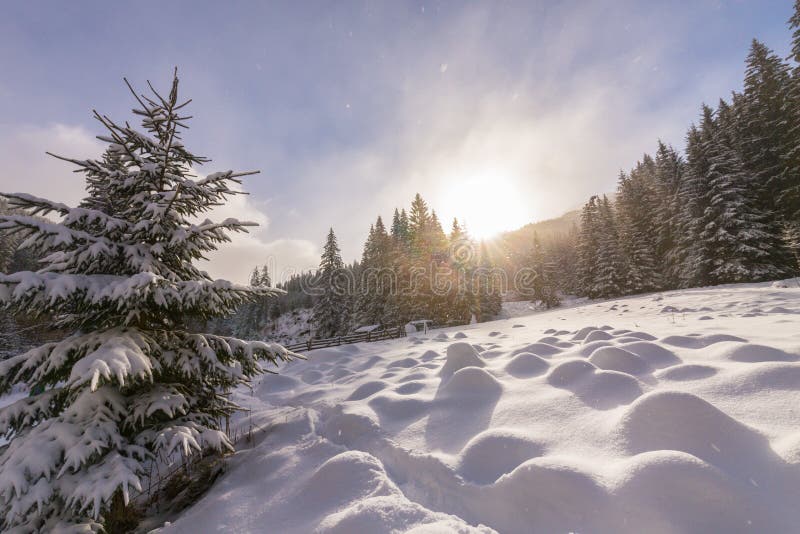 Bright High Alpine Winter Scenery, with Fresh Snow and Mist, in the ...