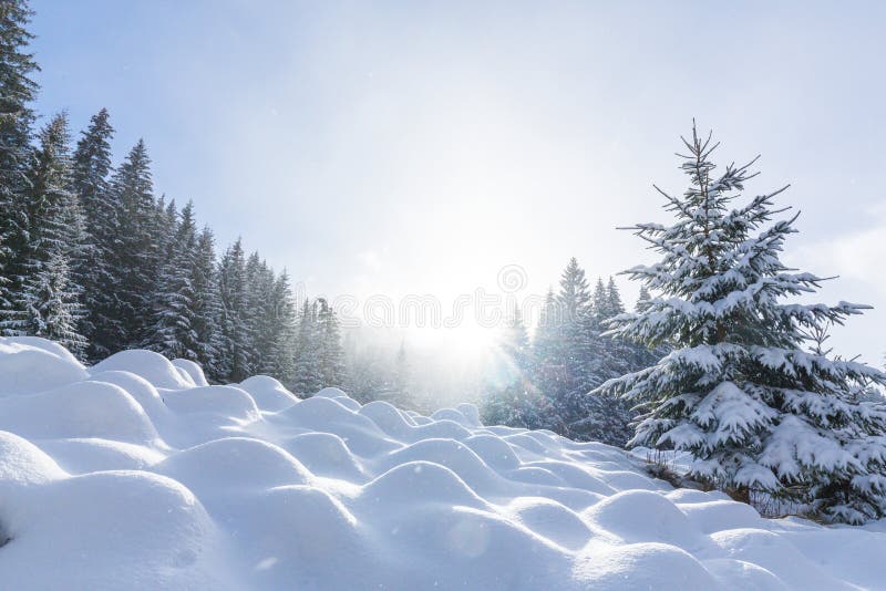 Bright High Alpine Winter Scenery, with Fresh Snow and Mist, in the ...