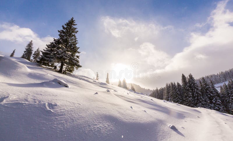 Bright High Alpine Winter Scenery, with Fresh Snow and Mist, in the ...