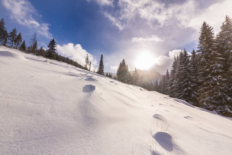 Bright High Alpine Winter Scenery, with Fresh Snow and Mist, in the ...