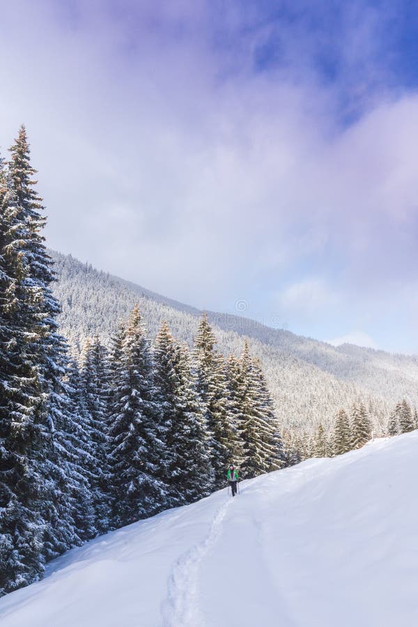 Bright High Alpine Winter Scenery, with Fresh Snow and Mist, in the ...