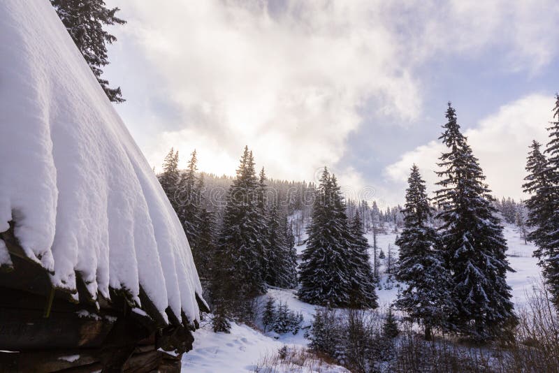 Bright High Alpine Winter Scenery, with Fresh Snow and Mist, in the ...