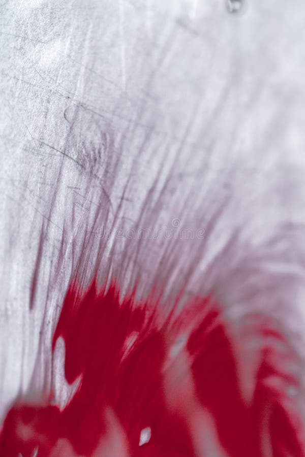 Bright Human Blood Abstract Smear Stock Photo - Image of splash, blood ...