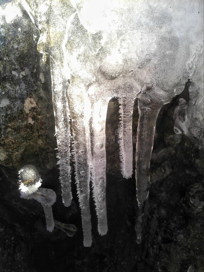 Bright icicles stock image. Image of amazing, bright - 111307491
