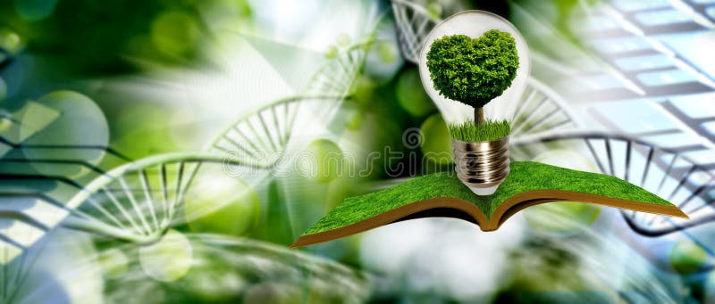 Bright Idea for a Sustainable Future with a Book Combining Nature and ...