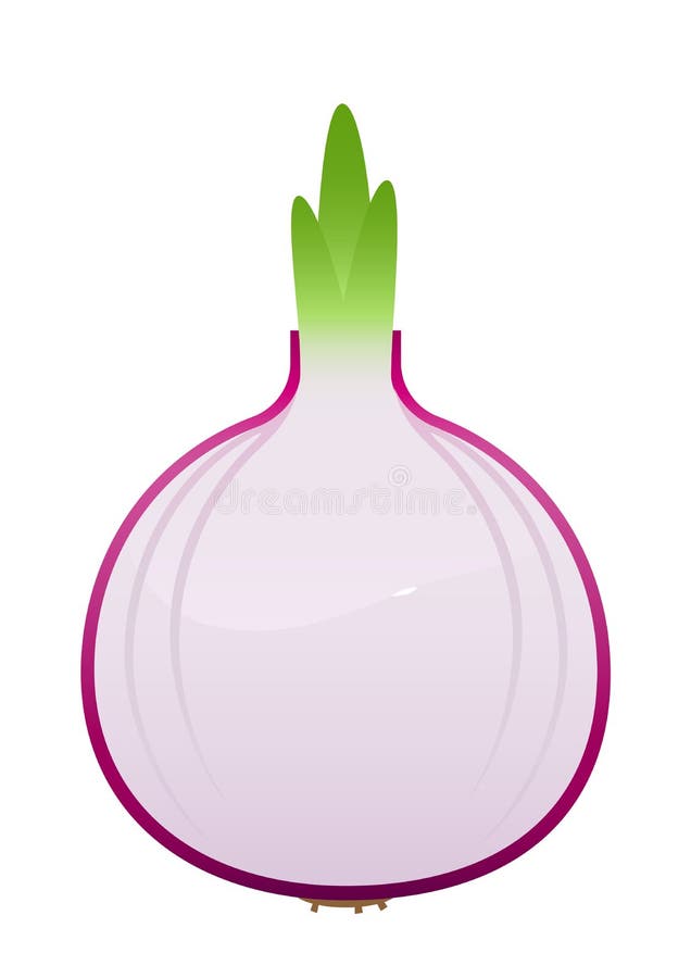 Two Onion Cartoon Character Bright Juicy on a White Background Stock ...