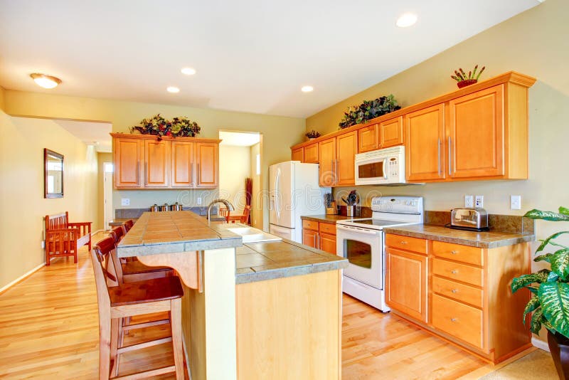 Bright kitchen interior stock image. Image of room, kitchen - 43461199