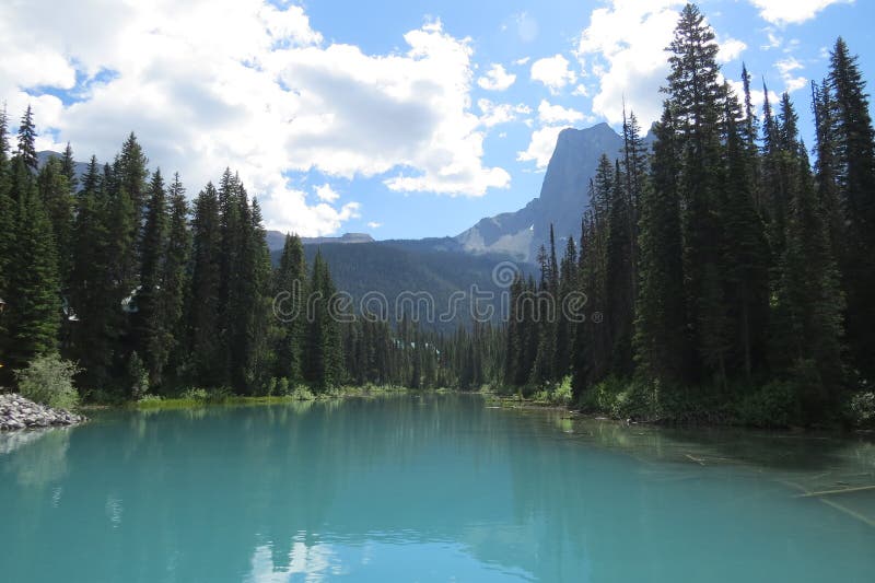 Bright lake view stock photo. Image of paysage, pine - 79559624