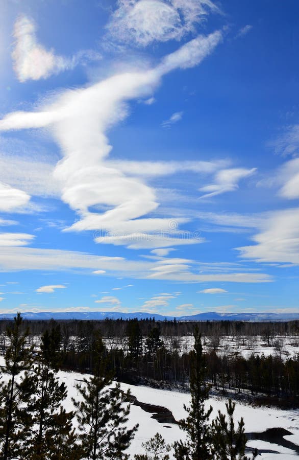 Bright Landscape of Spring Nature. a Vertical Image. Stock Photo ...