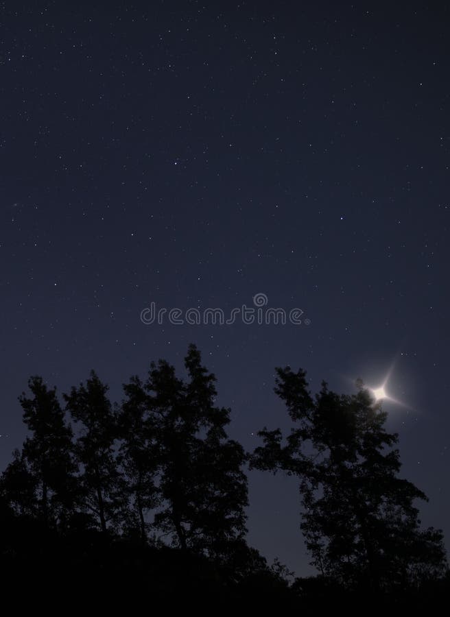 Bright Light Just Above the Tree Line at Night Stock Photo - Image of ...