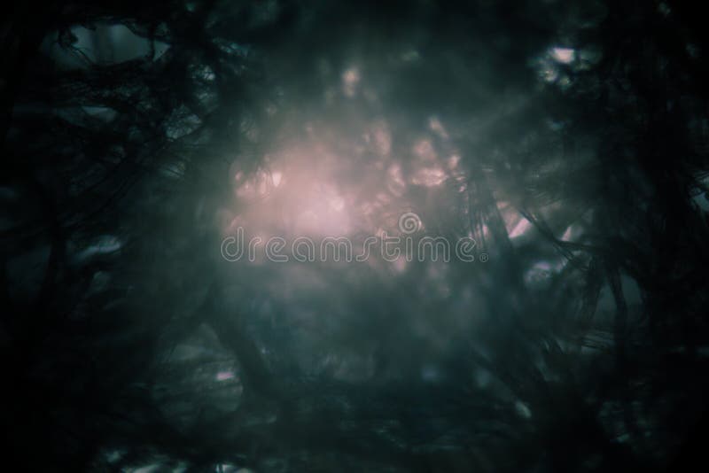 Bright Light in the Middle of a Mysterious Space Stock Photo - Image of ...
