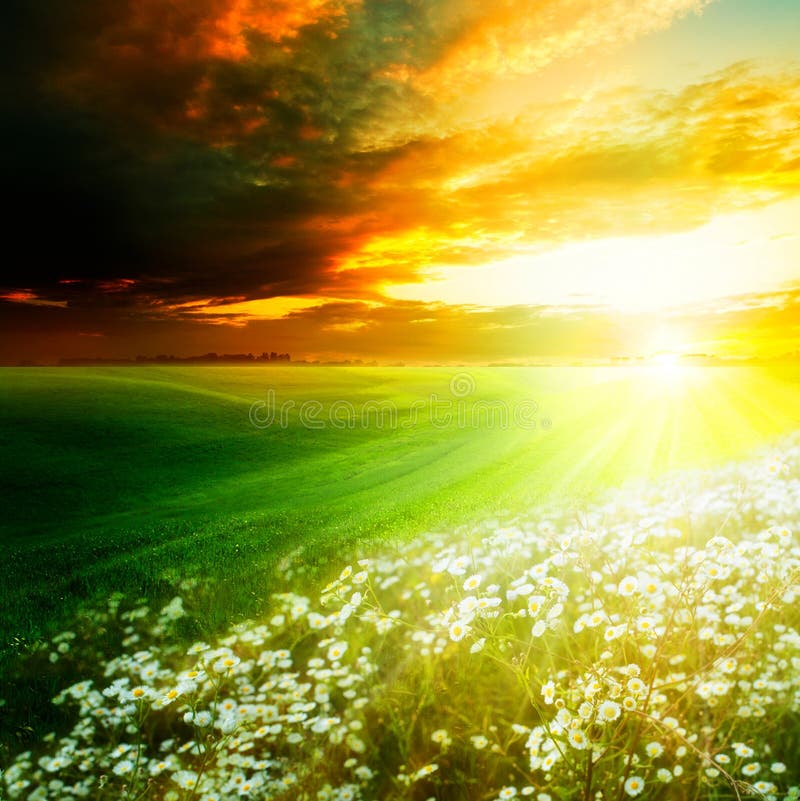 Green hills and blue sky stock photo. Image of meadow - 5112424