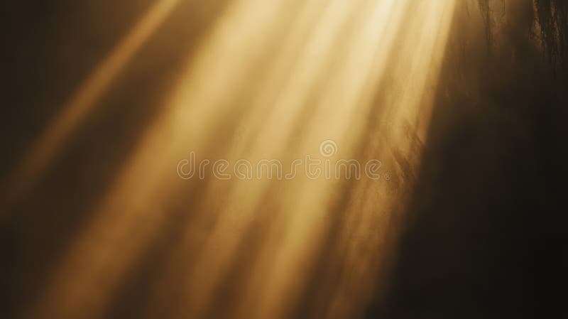 Bright Light Scattering with Warm Lighting and Particles Creating ...
