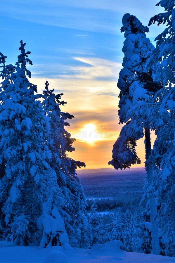 Bright Light and Sharp Shadows, Cold Winter Afternoon. Stock Image ...