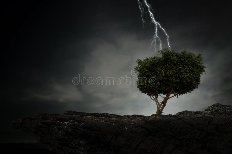 Bright Lightning Hit the Tree Stock Photo - Image of thunderstorm ...
