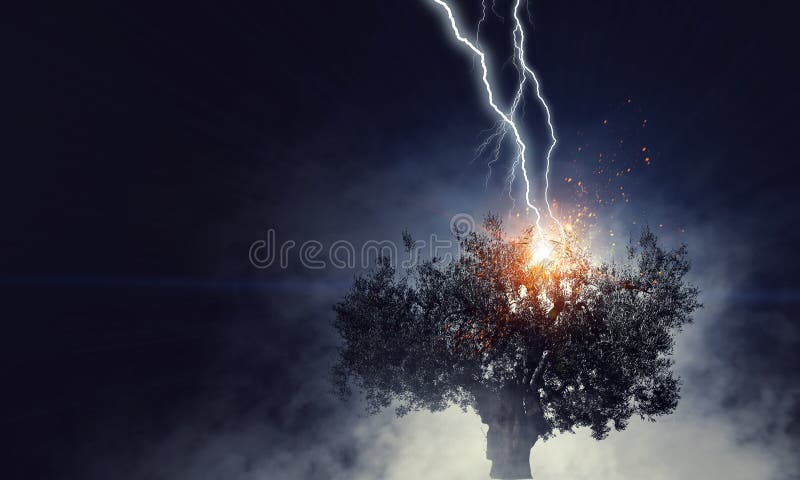 Bright Lightning Hit the Tree Stock Photo - Image of thunder ...