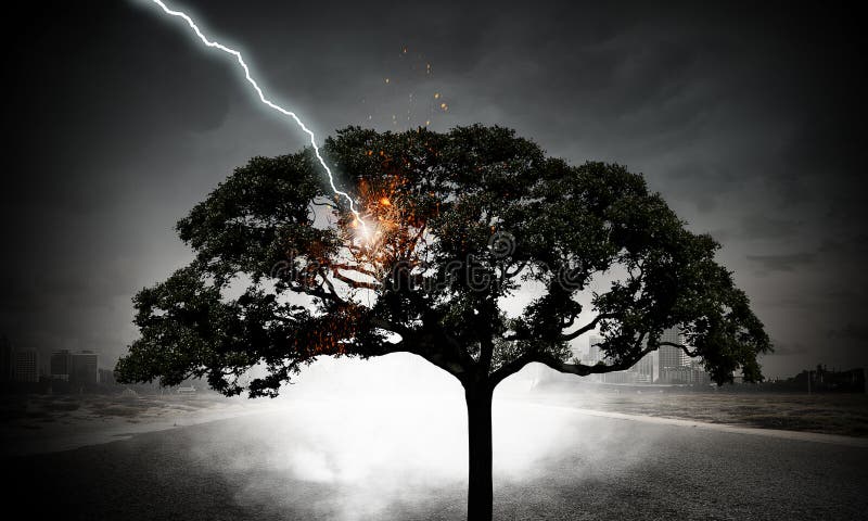 Bright Lightning Hit the Tree Stock Image - Image of discharge ...