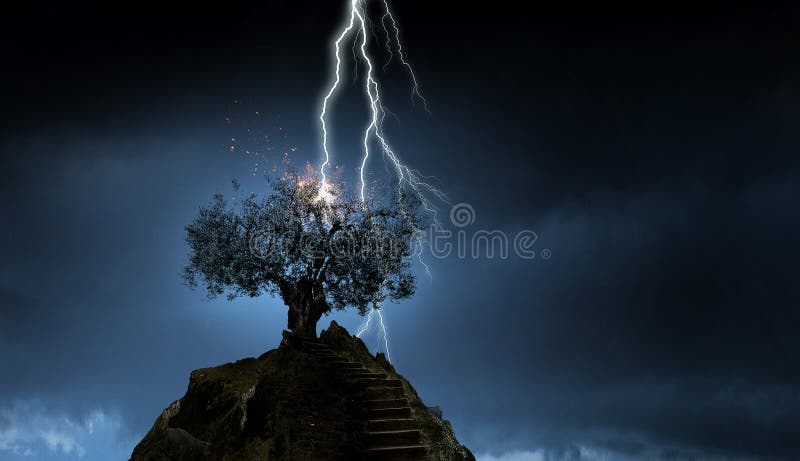 Bright Lightning Hit the Tree Stock Photo - Image of electricity, storm ...