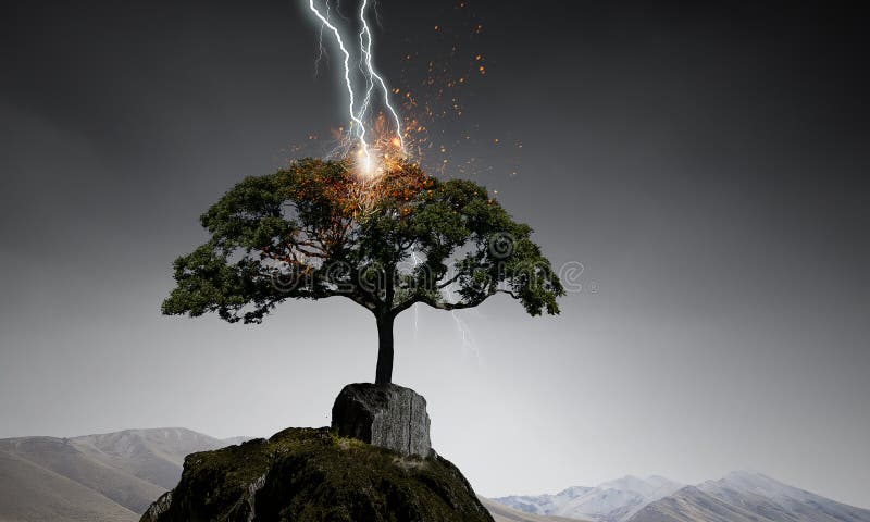 Bright Lightning Hit the Tree Stock Image - Image of thunderstorm ...