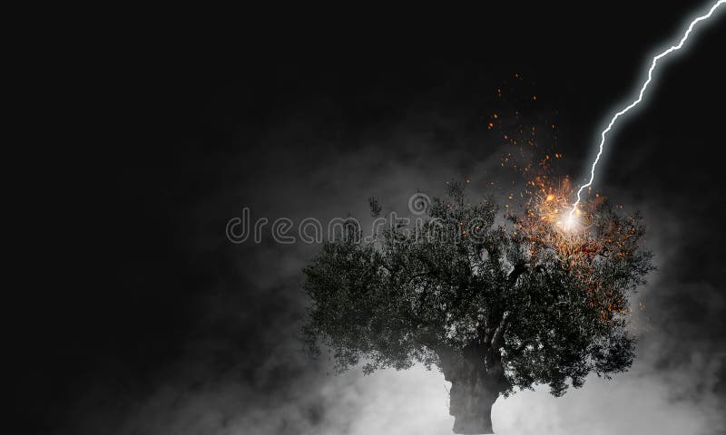 Bright Lightning Hit The Tree Stock Illustration - Illustration of ...