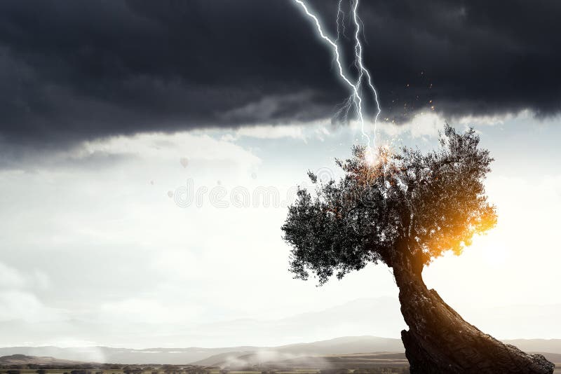 Bright Lightning Hit the Tree Stock Photo - Image of powerful ...