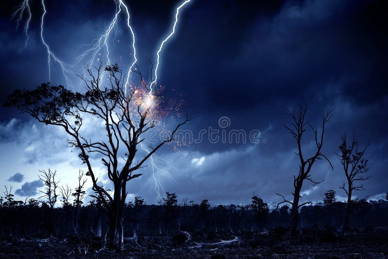 Bright Lightning Hit the Tree Stock Photo - Image of thunderstorm ...
