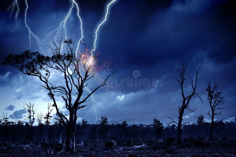 Bright Lightning Hit the Tree Stock Image - Image of discharge ...