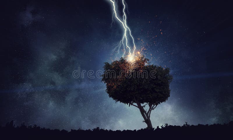 Bright Lightning Hit the Tree Stock Image - Image of badweather, bolt ...