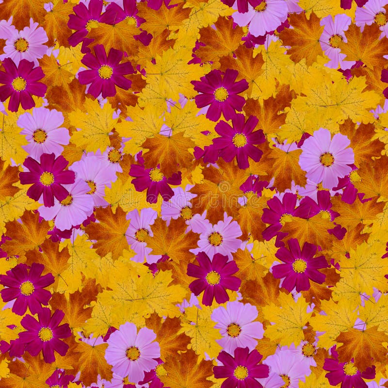 Bright Maple Leaves in Autumn Coloring Seamless Background-texture ...