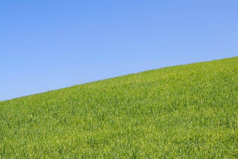 Bright meadow #2 stock photo. Image of countryside, incline - 886788