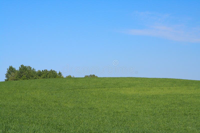 Bright meadow stock image. Image of enviroment, blade, clear - 945693