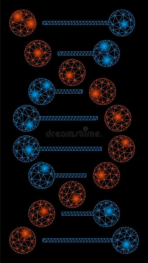 Bright Mesh Carcass DNA Molecule with Light Spots Stock Vector ...