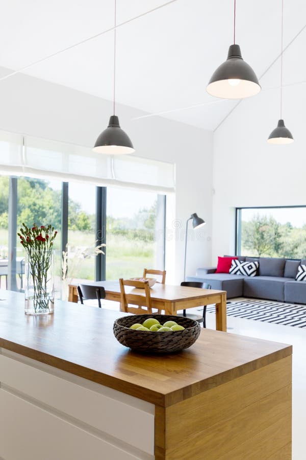 Bright modern house stock photo. Image of spacious, room - 77019860