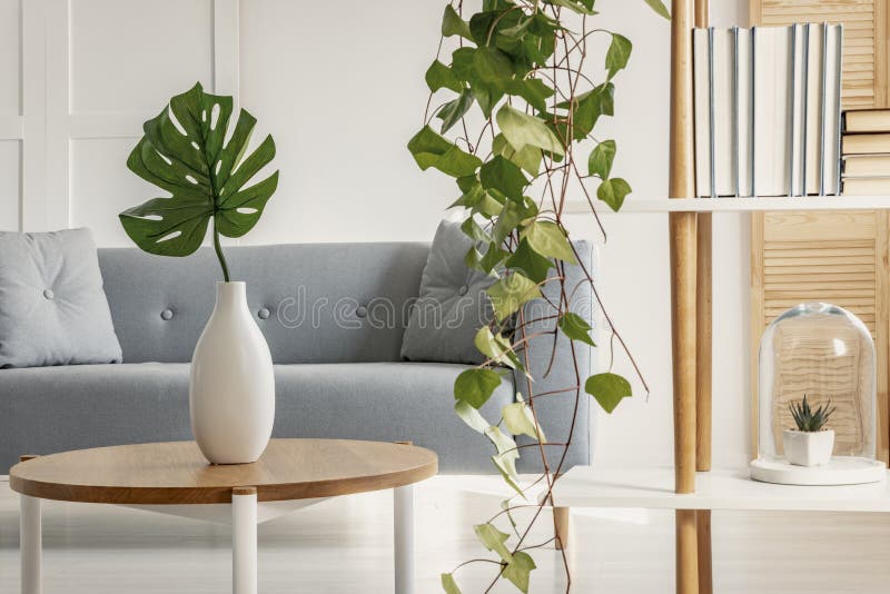 Modern Living Room in Botanical Style Stock Photo - Image of bright ...