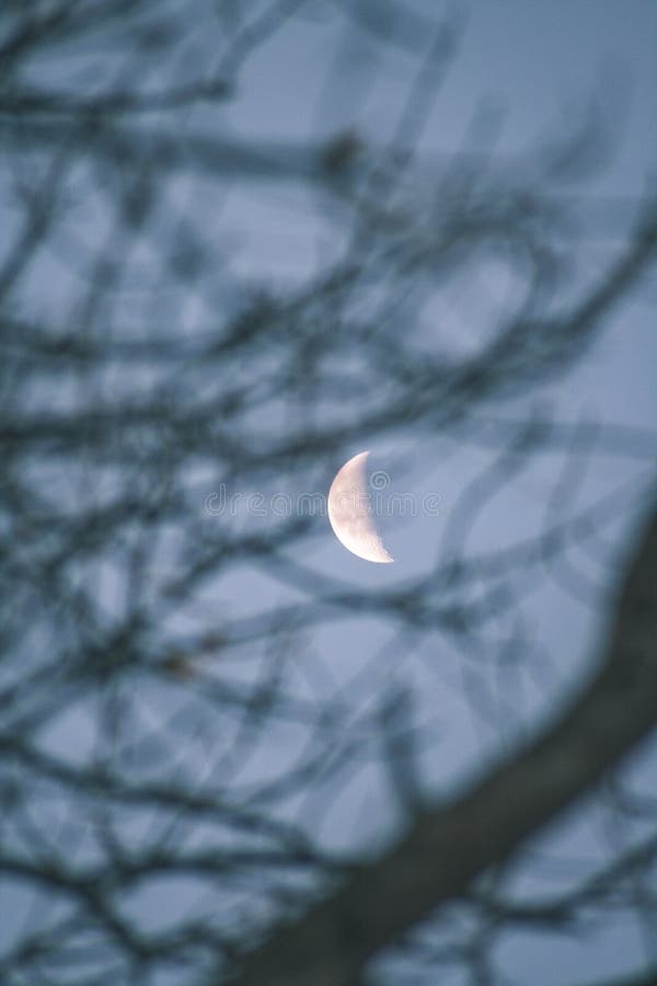 Bright Moon on the Blue Sky - Vintage Retro Film Look Stock Image ...